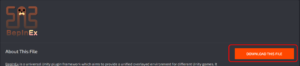 Installing and using BepInEx – Pinter Computing